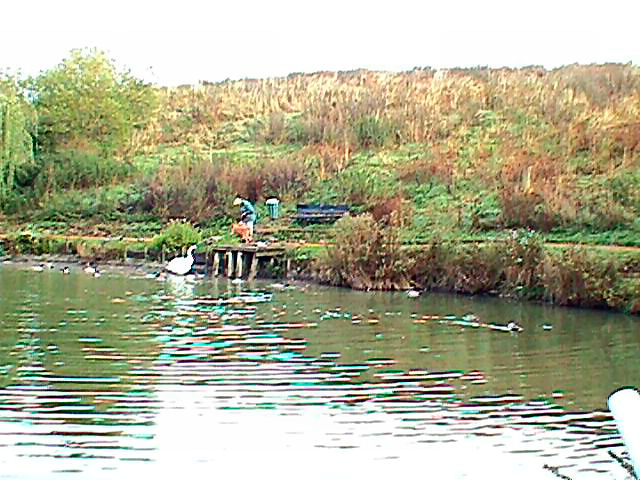 Ladygrove Lakes
